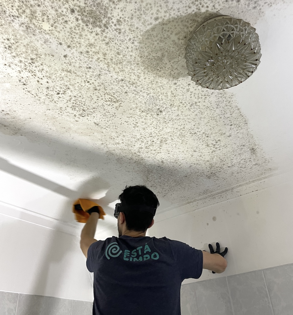 Limpeza profunda de bolor | Está Limpo